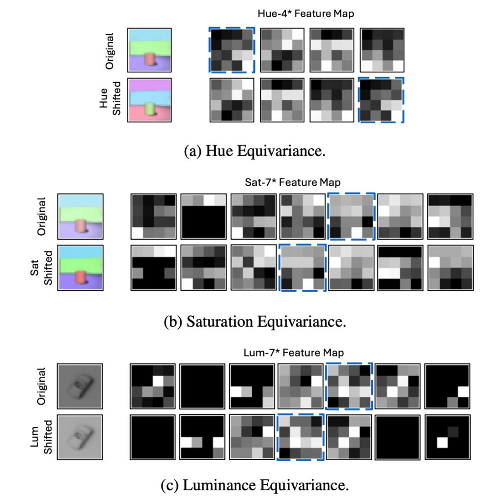 Designing for Equivariance to Perceptual Variation in Images ...